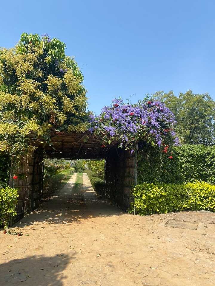 Gazebo | Entire Serene Farmhouse with Pool 𝗕𝗢𝗢𝗞 Sohna Farm House 𝘄𝗶𝘁𝗵 ...