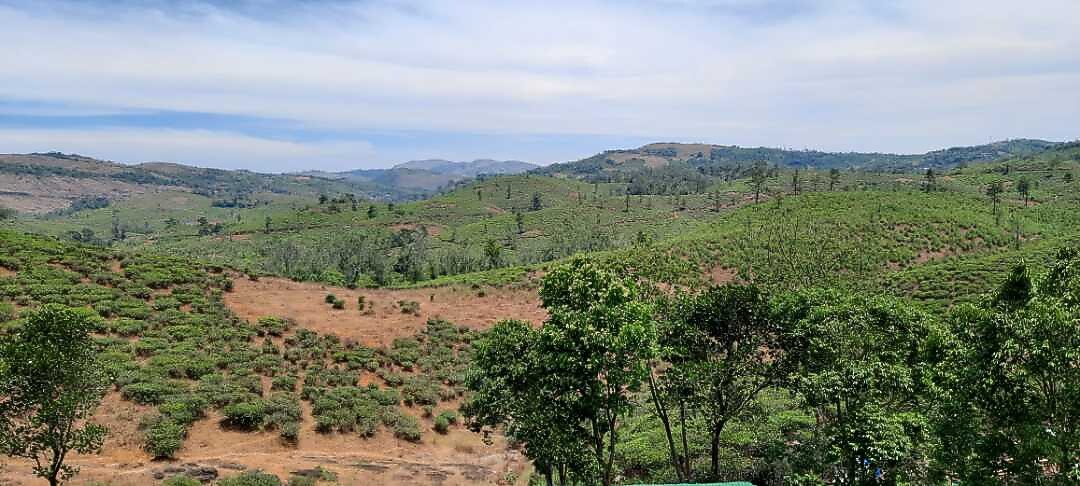 Sam Valley Homestay | Valley-view Rooms 𝗕𝗢𝗢𝗞 Vagamon Homestay 𝘄𝗶𝘁𝗵 𝗙𝗥𝗘𝗘 ...