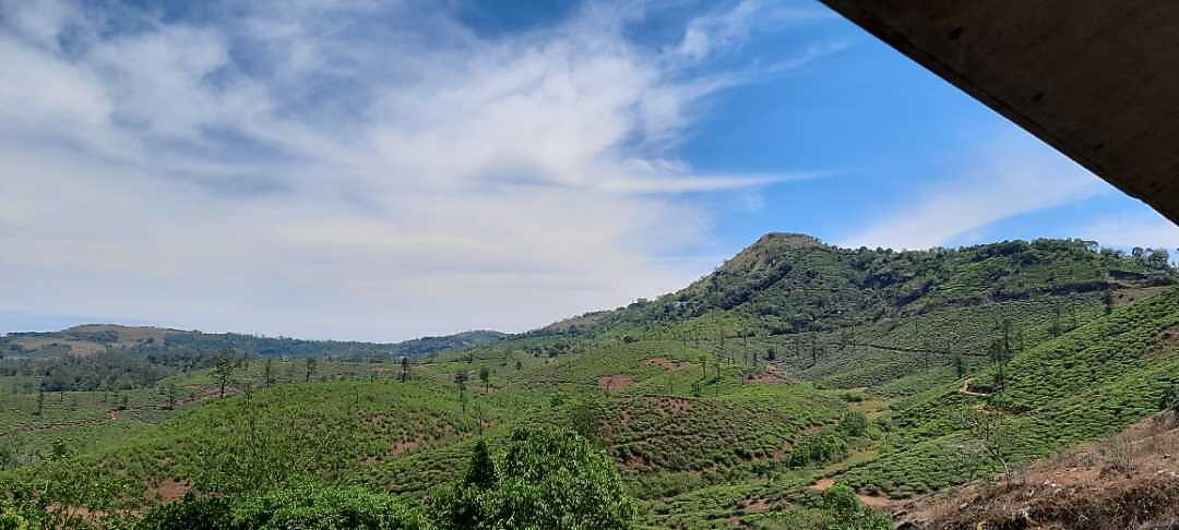 Sam Valley Homestay | Valley-view Rooms 𝗕𝗢𝗢𝗞 Vagamon Homestay 𝘄𝗶𝘁𝗵 𝗙𝗥𝗘𝗘 ...