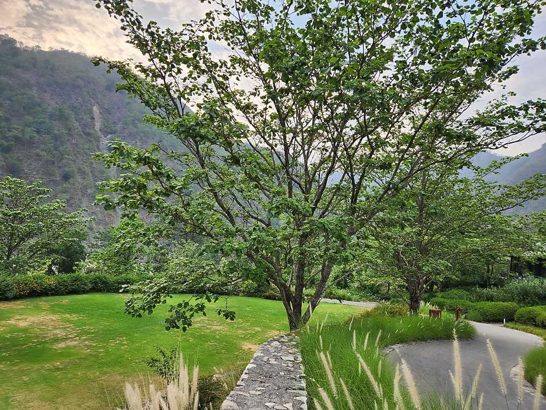 Taj Rishikesh Resort & Spa, Uttarakhand