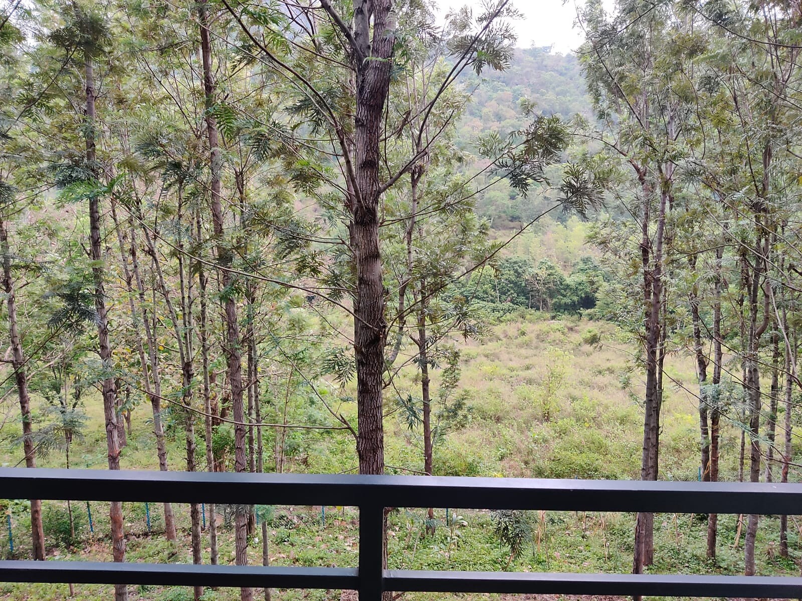 Misty Range Resort 𝗕𝗢𝗢𝗞 Marayoor Resort 𝘄𝗶𝘁𝗵 ₹𝟬 𝗣𝗔𝗬𝗠𝗘𝗡𝗧