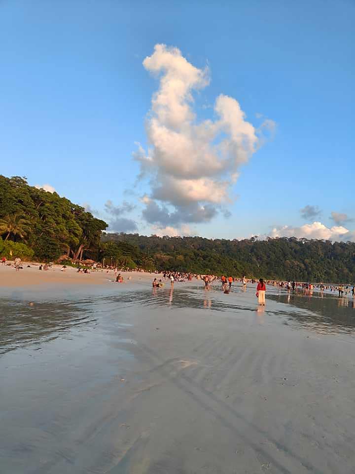 Reviews of Blue Bird Resort - Resort in Havelock