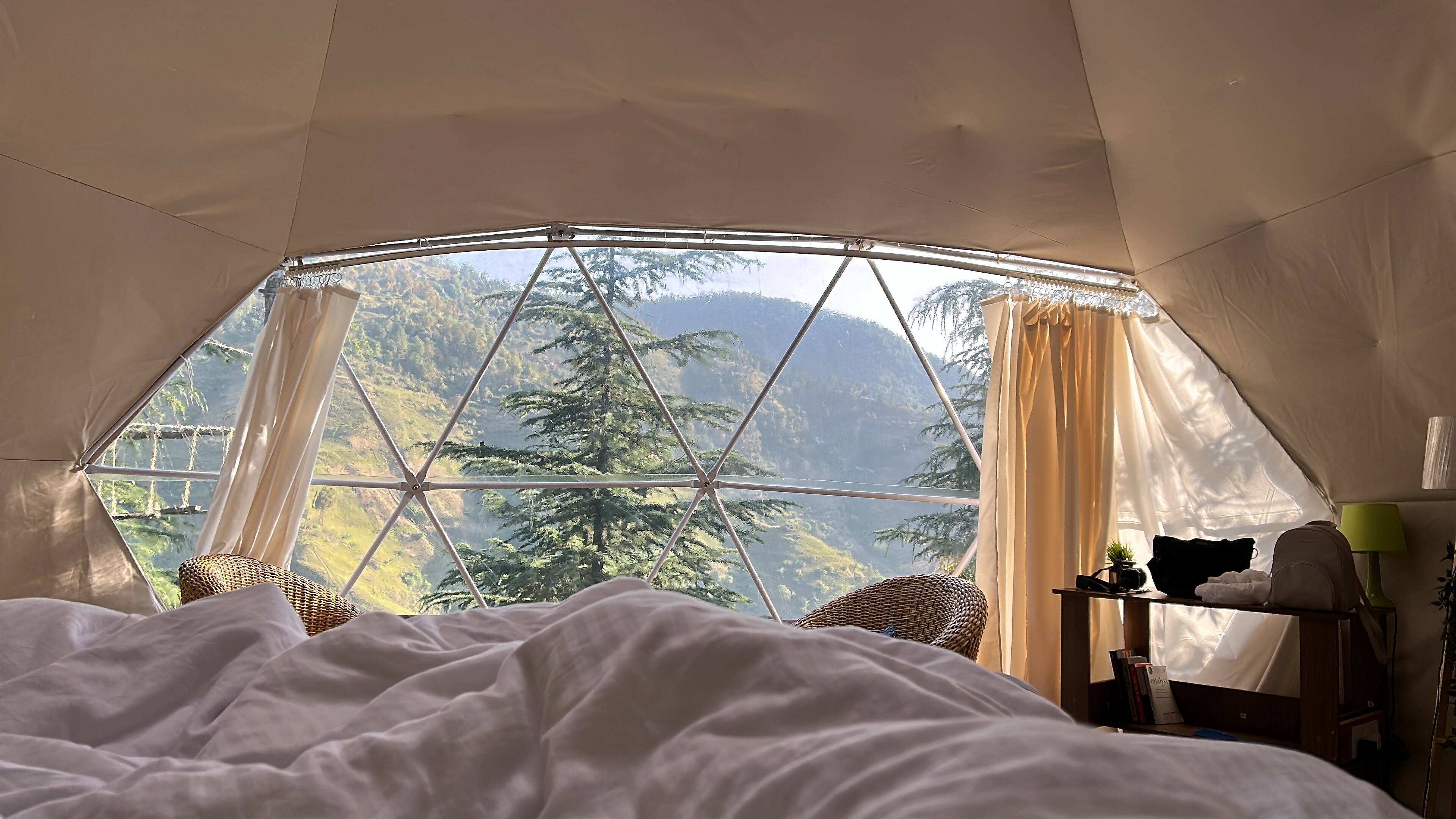 Hayden Royal Swiss Cottage 𝗕𝗢𝗢𝗞 Chail Tree house 𝘄𝗶𝘁𝗵 𝗙𝗥𝗘𝗘 𝗖𝗮𝗻𝗰𝗲𝗹𝗹𝗮𝘁𝗶𝗼𝗻