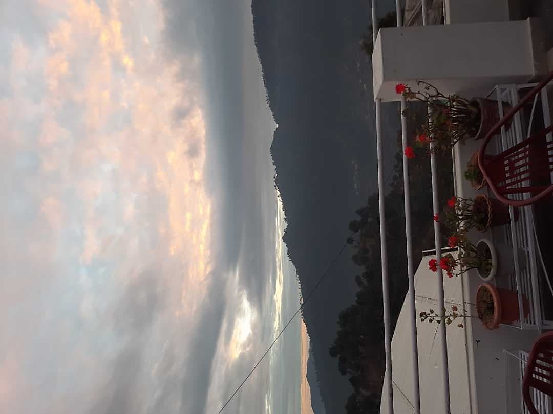 Photos of centarosa resort - Resort in Solan