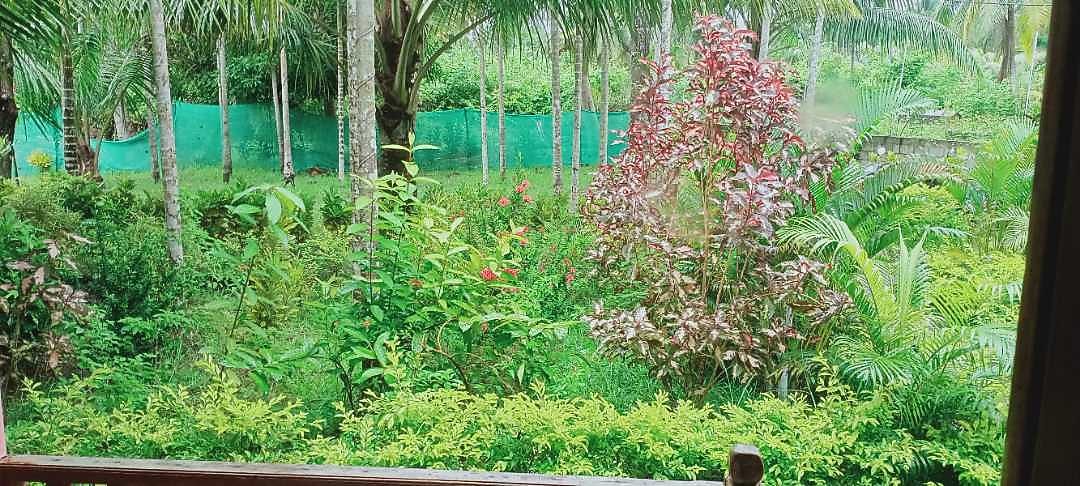 Photos of SUNDAZE BEACH RESORT - Resort in Havelock