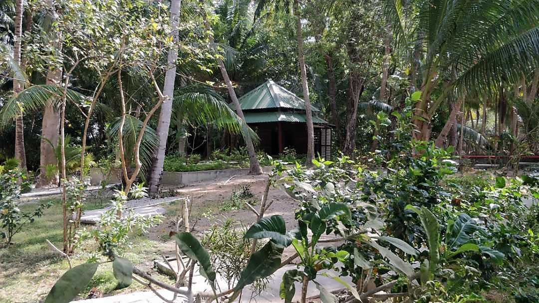 Sea Shell Neil Island Neil Island Resort Price, Address & Reviews