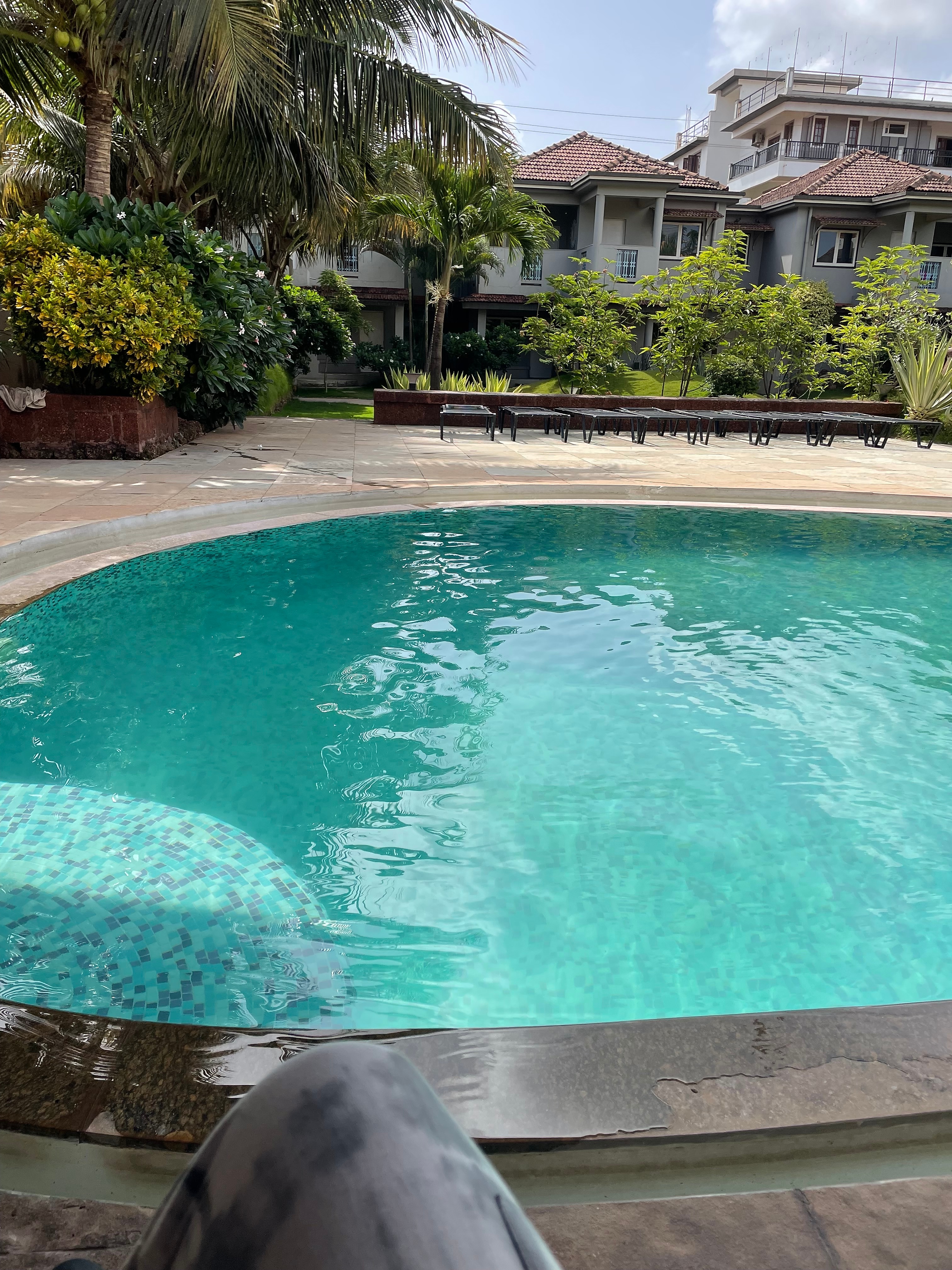 Argo by Trance 𝗕𝗢𝗢𝗞 Goa Hotel 𝘄𝗶𝘁𝗵 𝗙𝗥𝗘𝗘 𝗖𝗮𝗻𝗰𝗲𝗹𝗹𝗮𝘁𝗶𝗼𝗻