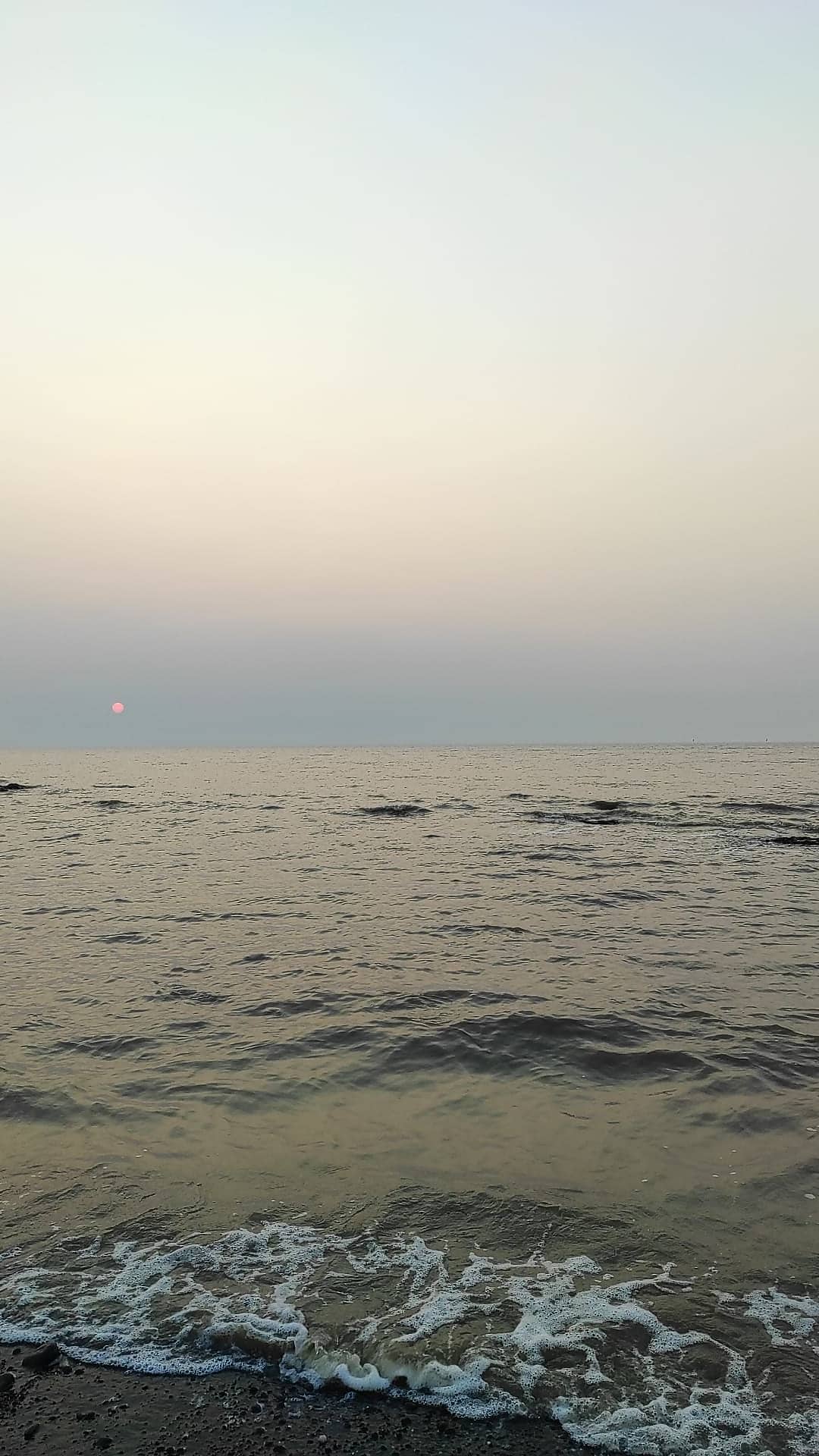 Photos of Hotel The Blossom - Hotel in Vapi