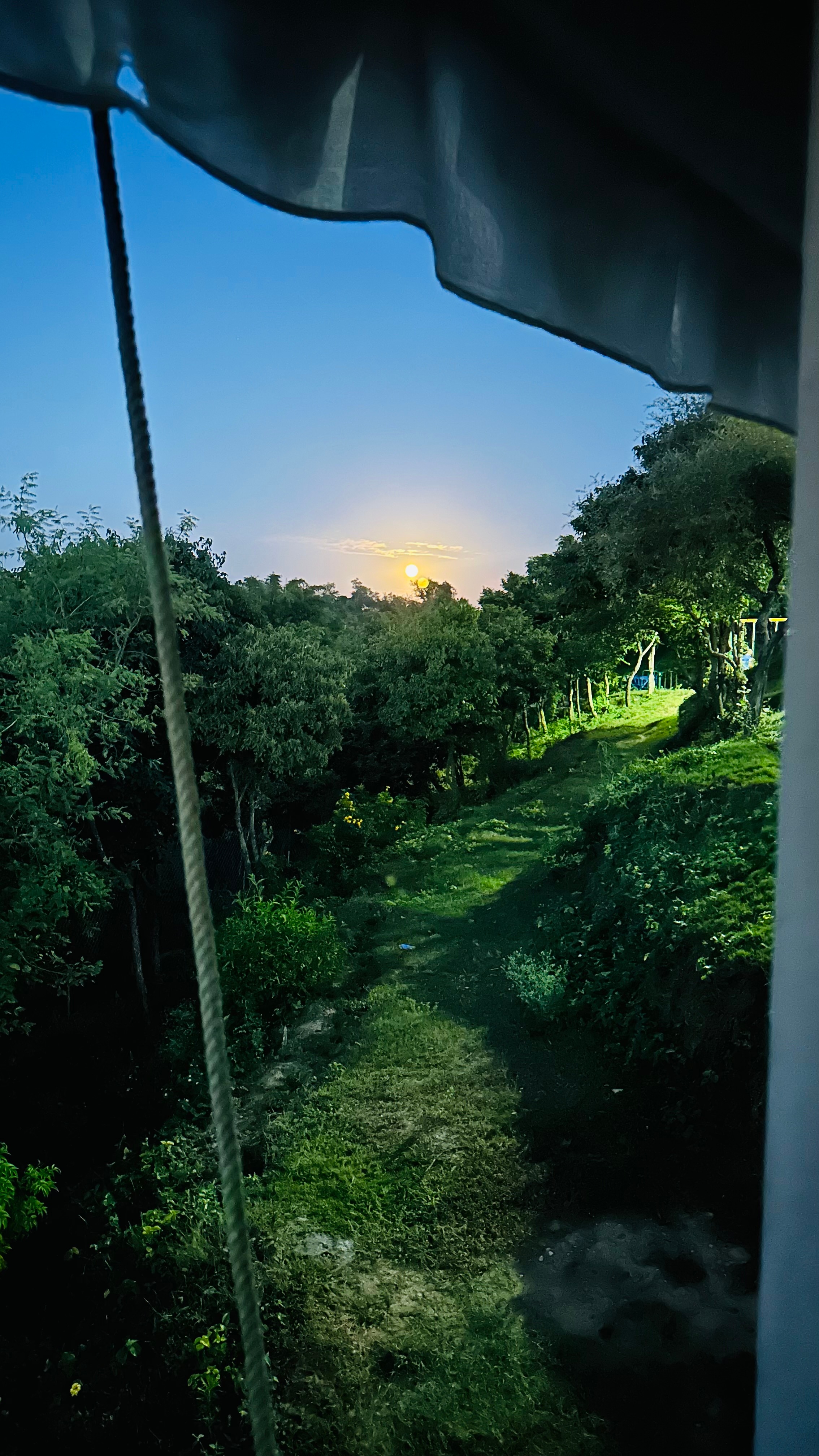 Photos of Jungle Lodge thana Hoshiarpur - Resort in Dasua