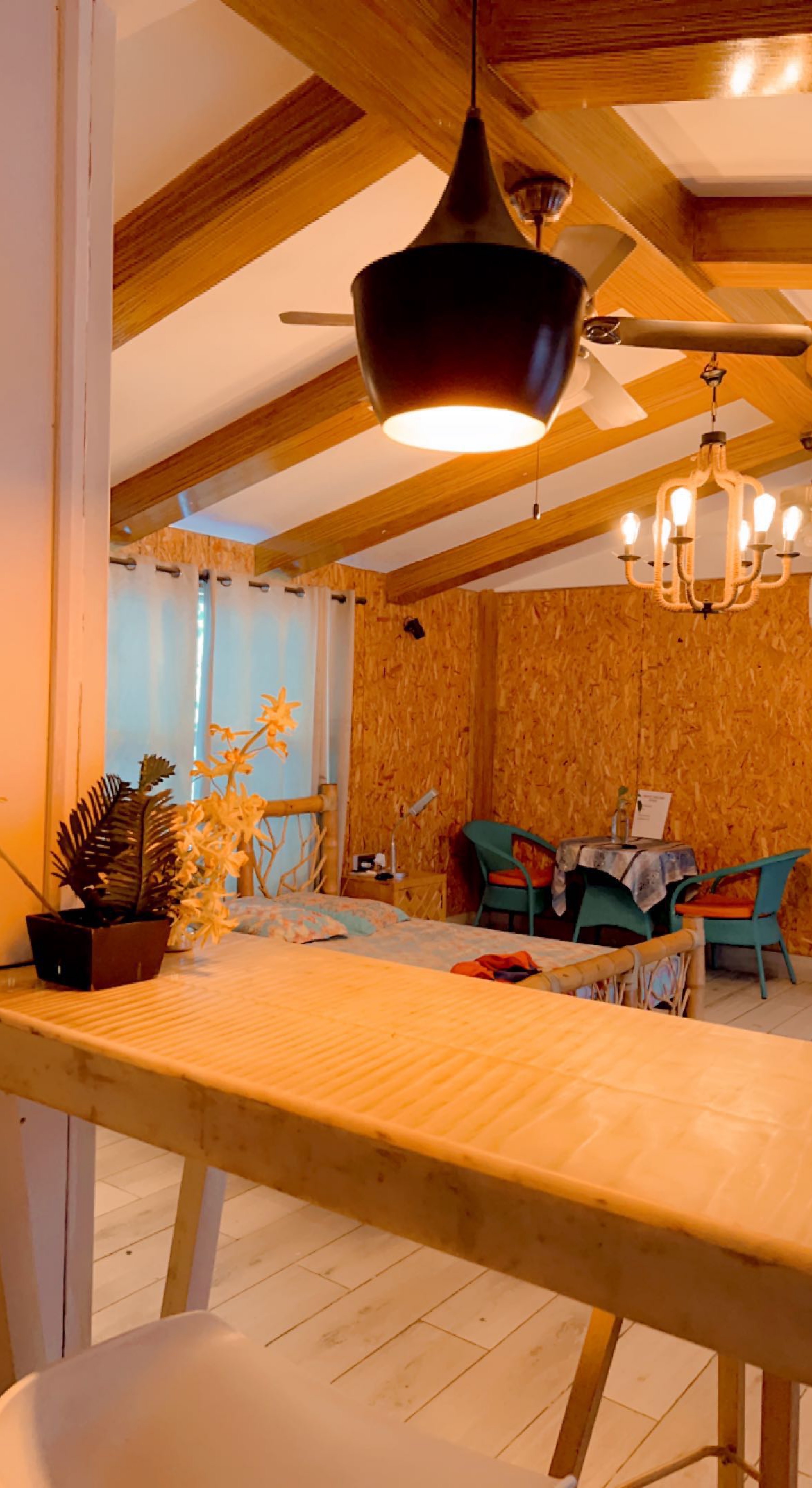 Couple's Nest | Room & Kitchen 𝗕𝗢𝗢𝗞 Delhi Homestay 𝘄𝗶𝘁𝗵 𝗙𝗥𝗘𝗘 𝗖𝗮𝗻𝗰𝗲𝗹𝗹𝗮𝘁𝗶𝗼𝗻