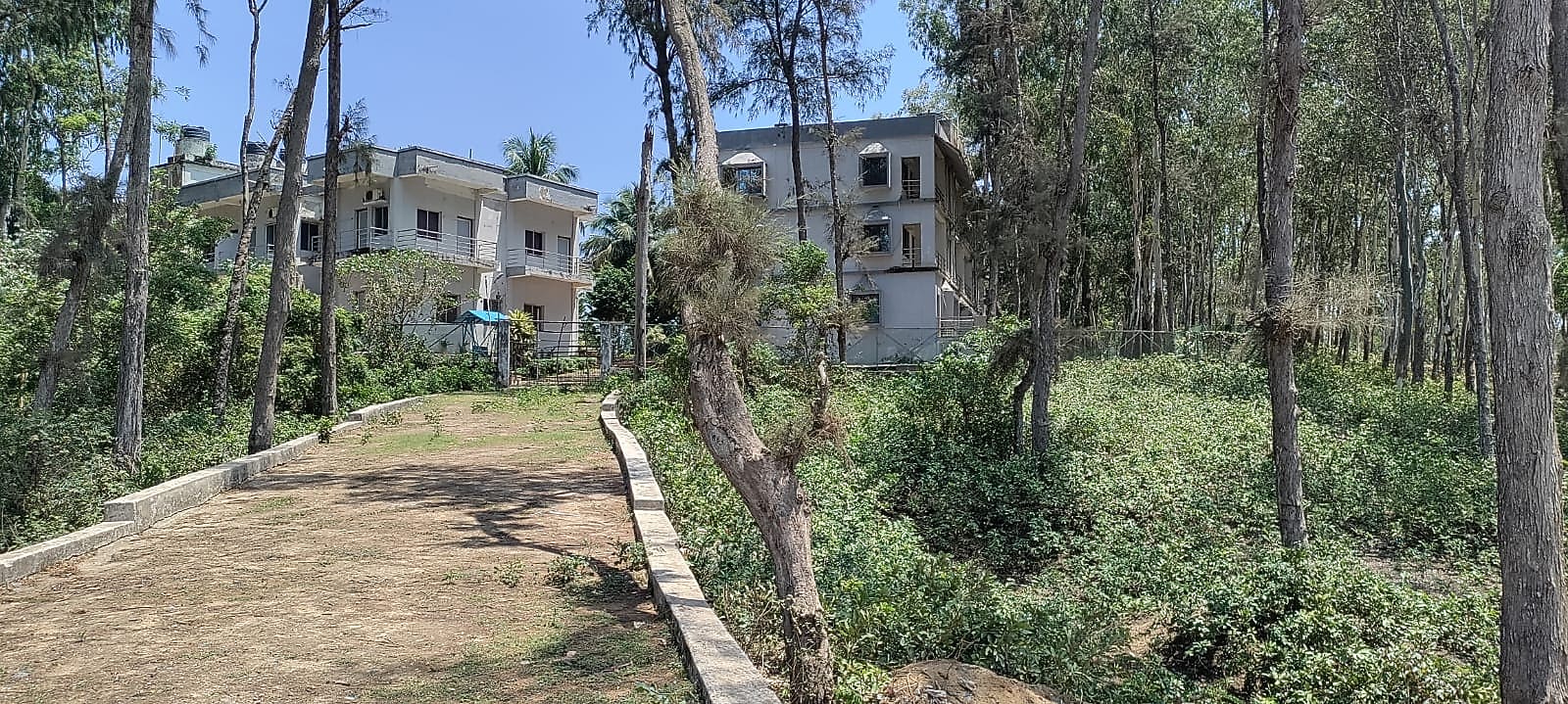 OTDC Panthasala Chandaneswar 𝗕𝗢𝗢𝗞 Balasore Hotel 𝘄𝗶𝘁𝗵 ₹𝟬 𝗣𝗔𝗬𝗠𝗘𝗡𝗧