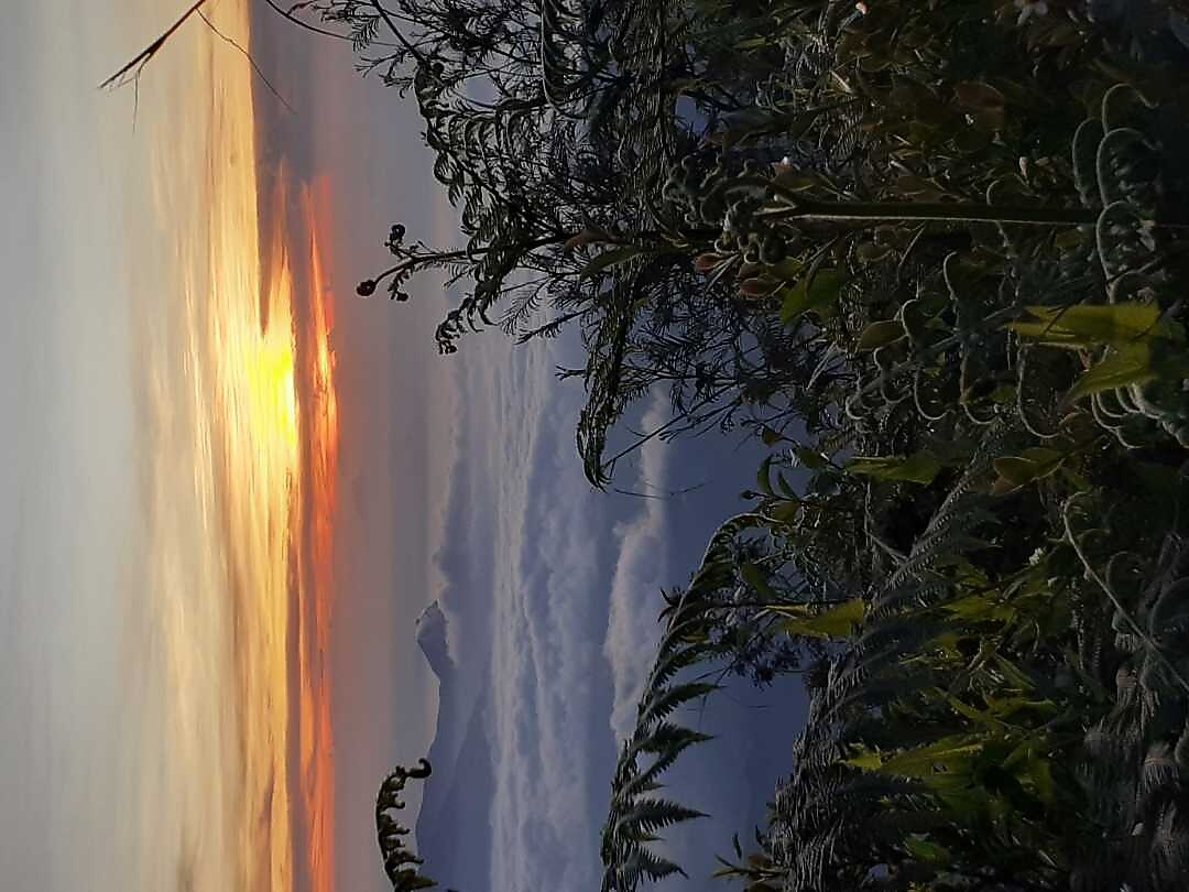 Purple Munnar 𝗕𝗢𝗢𝗞 Munnar Resort 𝘄𝗶𝘁𝗵 𝗙𝗥𝗘𝗘 𝗖𝗮𝗻𝗰𝗲𝗹𝗹𝗮𝘁𝗶𝗼𝗻