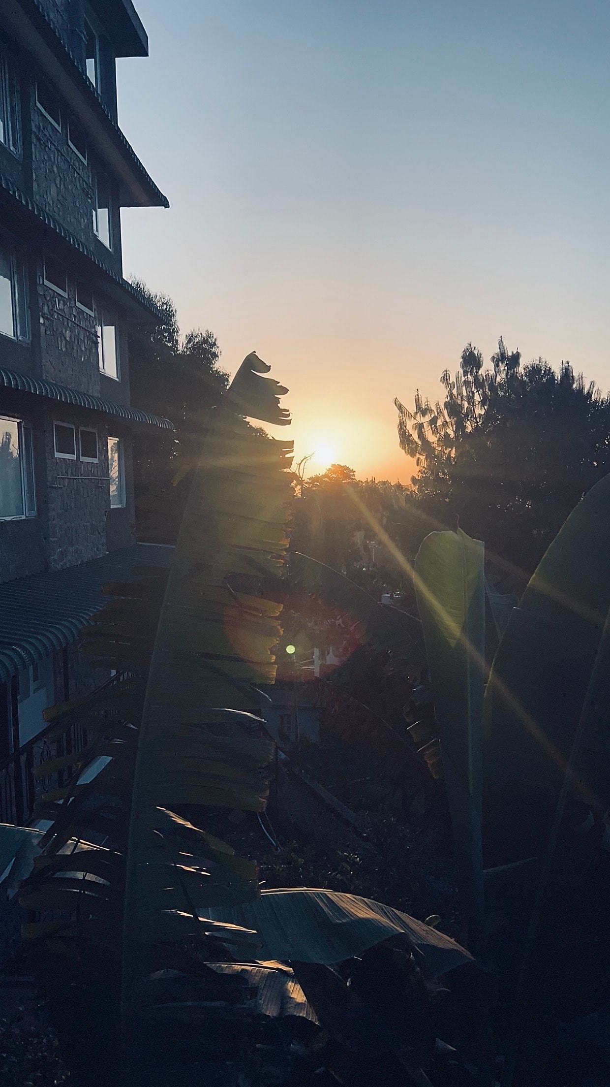 Lazo Eucy Paradise Resort 100% Money Back 𝗕𝗢𝗢𝗞 Kodaikanal Hotel 𝘄𝗶𝘁𝗵 ...