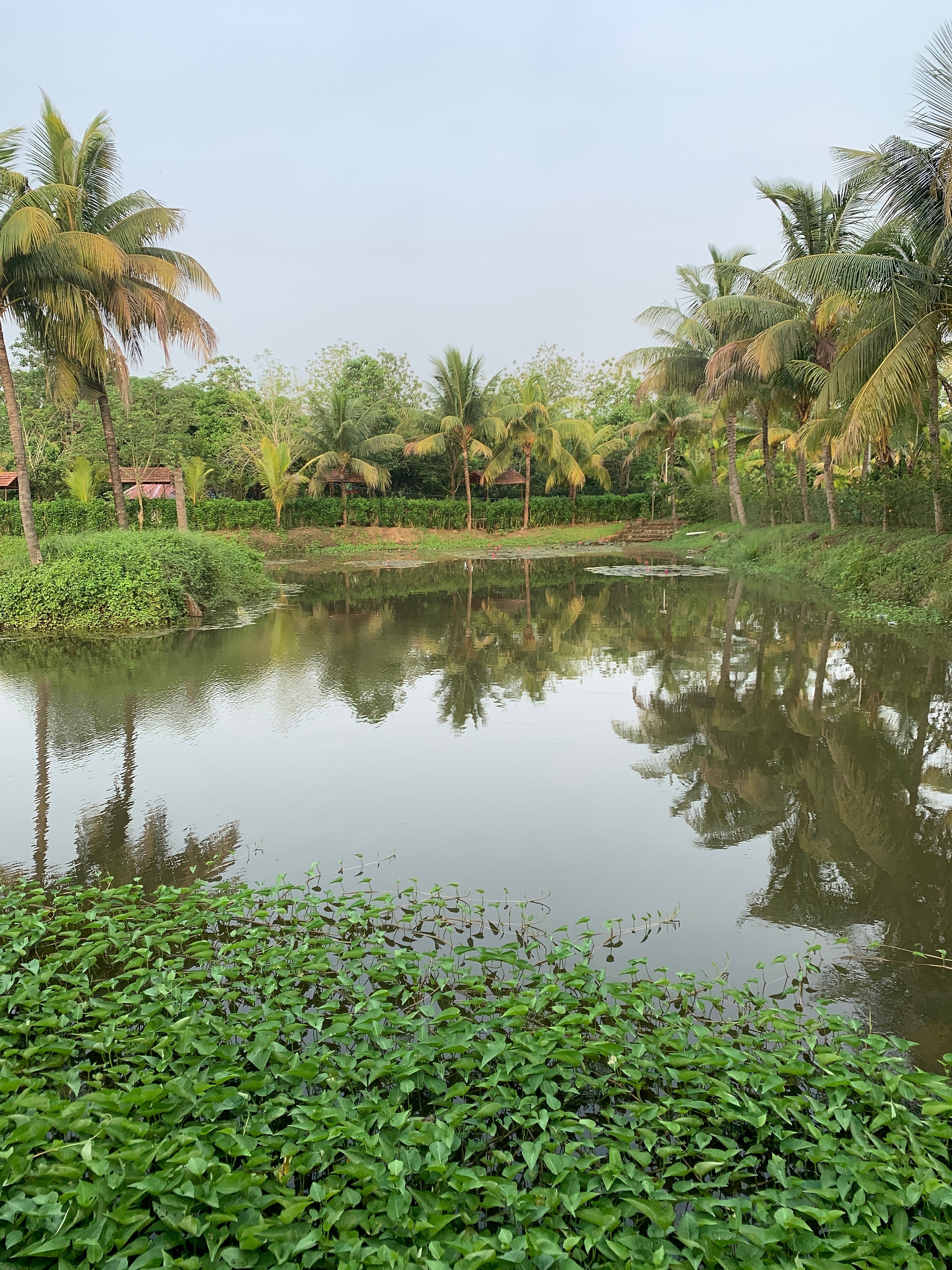 Chandaka Nature Resort 𝗕𝗢𝗢𝗞 Bhubaneshwar Hotel 𝘄𝗶𝘁𝗵 𝗙𝗥𝗘𝗘 𝗖𝗮𝗻𝗰𝗲𝗹𝗹𝗮𝘁𝗶𝗼𝗻