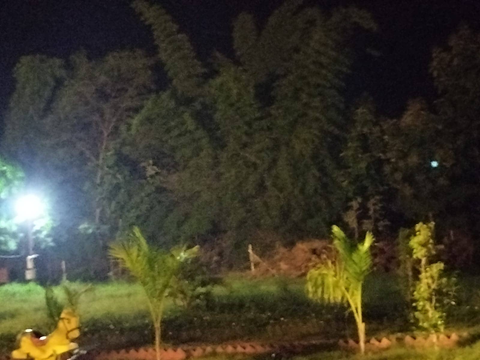 Chhatwal Tiger Resort 𝗕𝗢𝗢𝗞 Ramtek Hotel 𝘄𝗶𝘁𝗵 𝗙𝗥𝗘𝗘 𝗖𝗮𝗻𝗰𝗲𝗹𝗹𝗮𝘁𝗶𝗼𝗻
