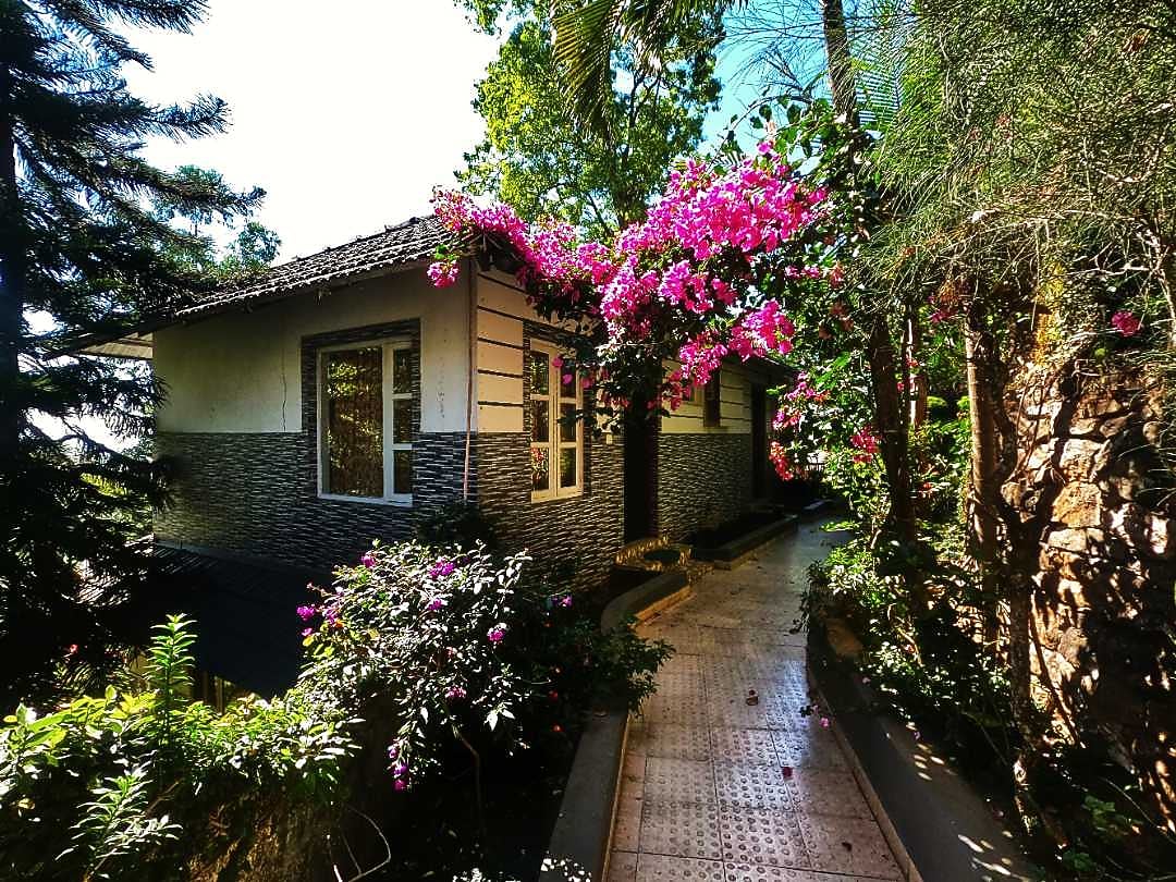 Whispering Meadows 𝗕𝗢𝗢𝗞 Munnar Hotel 𝘄𝗶𝘁𝗵 ₹𝟬 𝗣𝗔𝗬𝗠𝗘𝗡𝗧