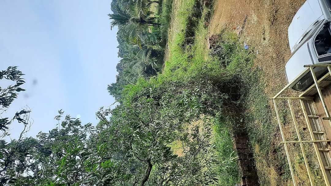 Photos of Shivam Bnb - BnB in Goa