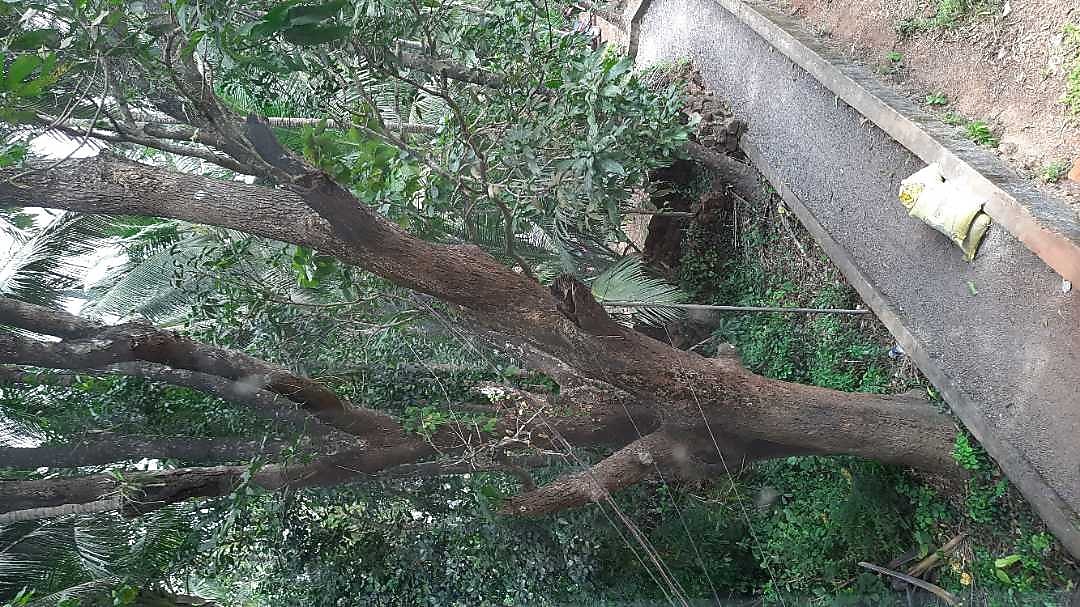 Photos of Shivam Bnb - BnB in Goa
