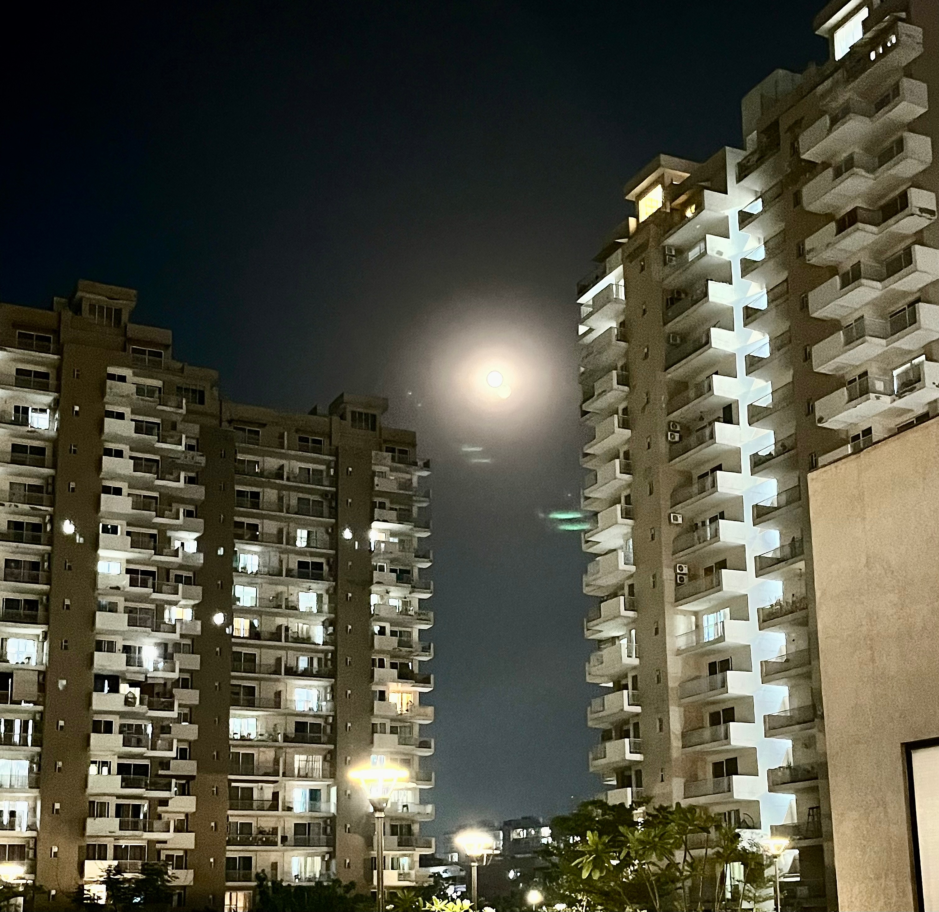 Blue Feathers Stays By One Tree 𝗕𝗢𝗢𝗞 Delhi Apart-hotel 𝘄𝗶𝘁𝗵 𝗙𝗥𝗘𝗘 ...