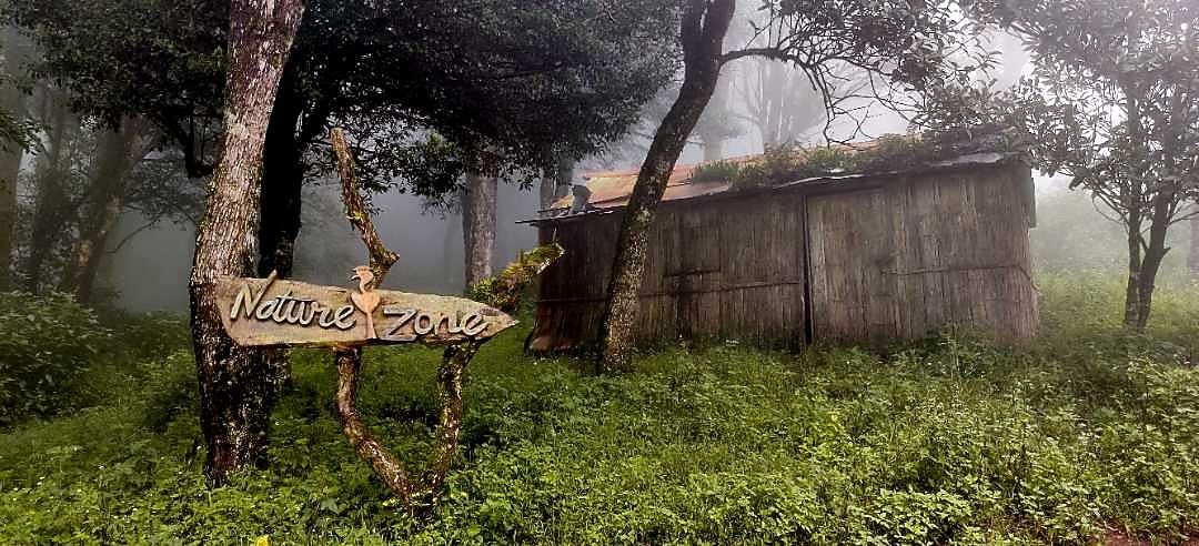 Nature Zone Jungle Resort | Munnar Resort BOOK @ ₹1