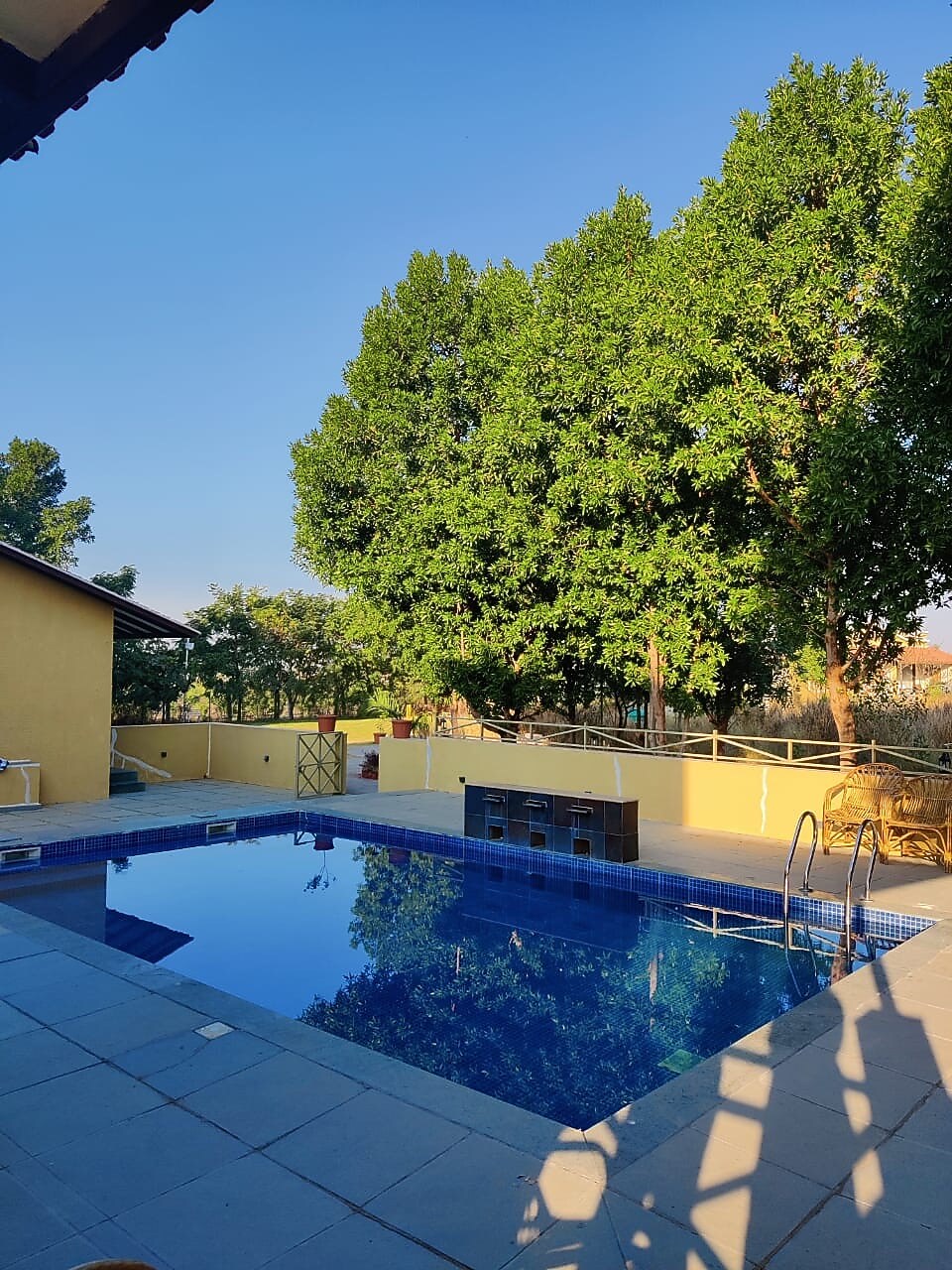 Photos of Blackbuck Safari Lodge Velavadar - Hotel in Narbad