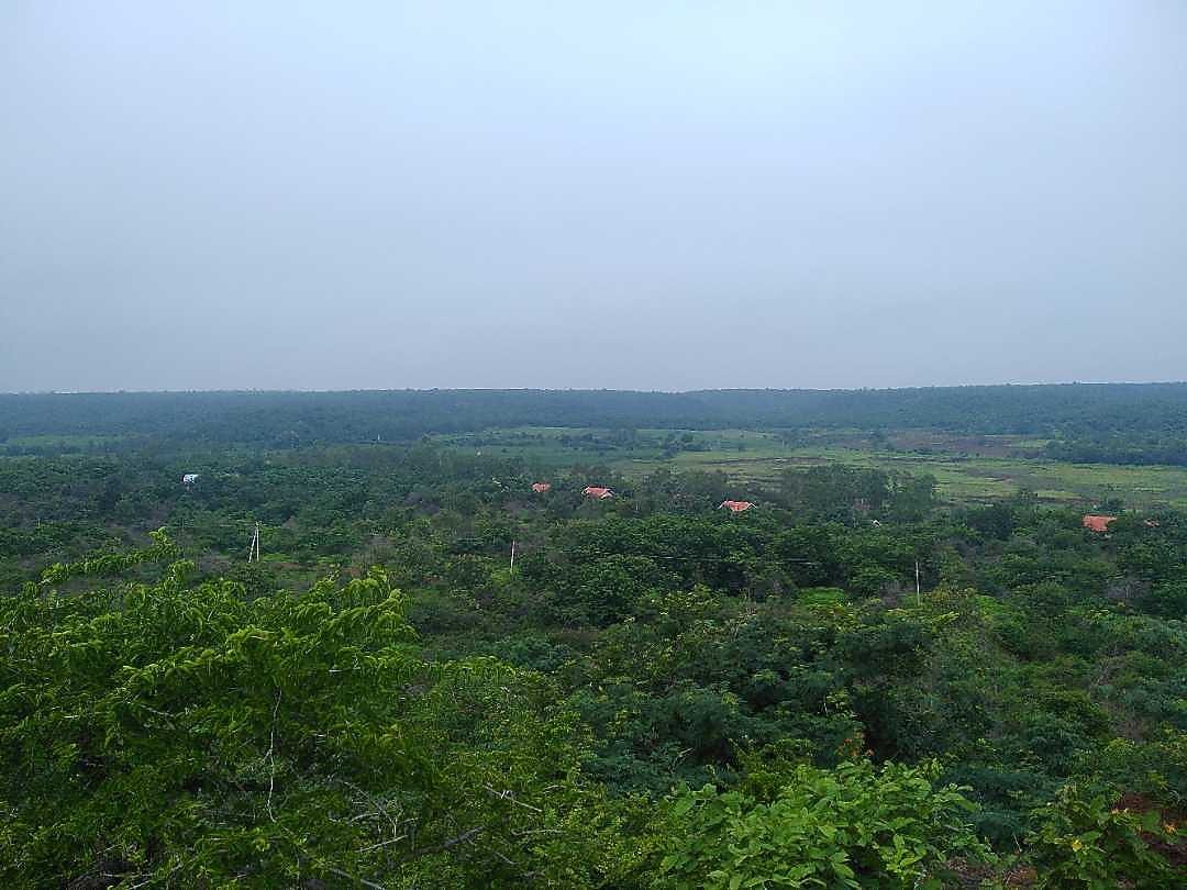 Blackbuck Resort by Jungle Lodges Bidar Resort, FREE Cancellation ...