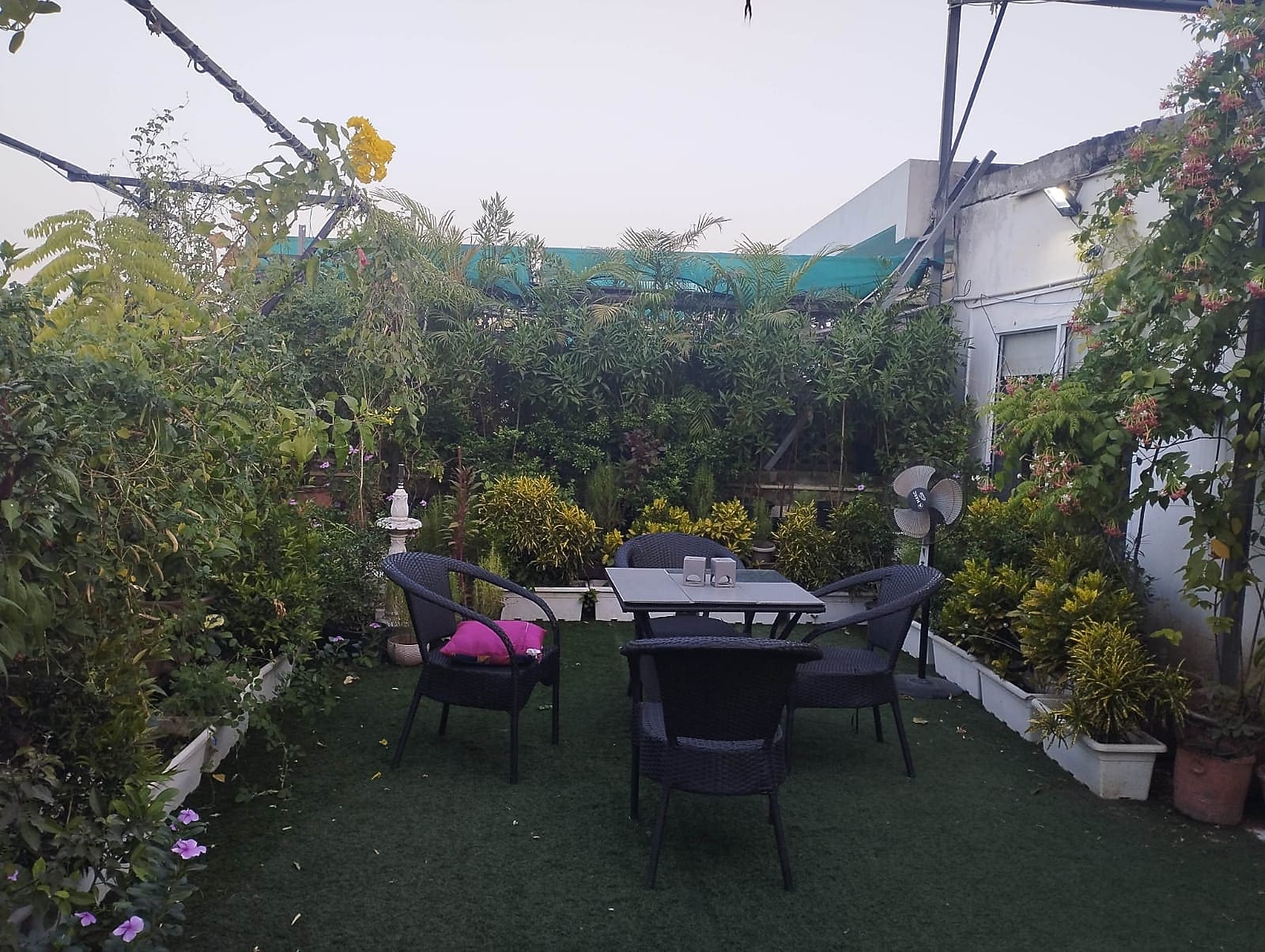Photos of Springfield Terrace - Homestay in Delhi