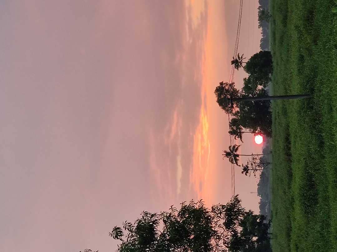 Contour Backwater Resort 𝗕𝗢𝗢𝗞 Changanassery Resort 𝘄𝗶𝘁𝗵 ₹𝟬 𝗣𝗔𝗬𝗠𝗘𝗡𝗧