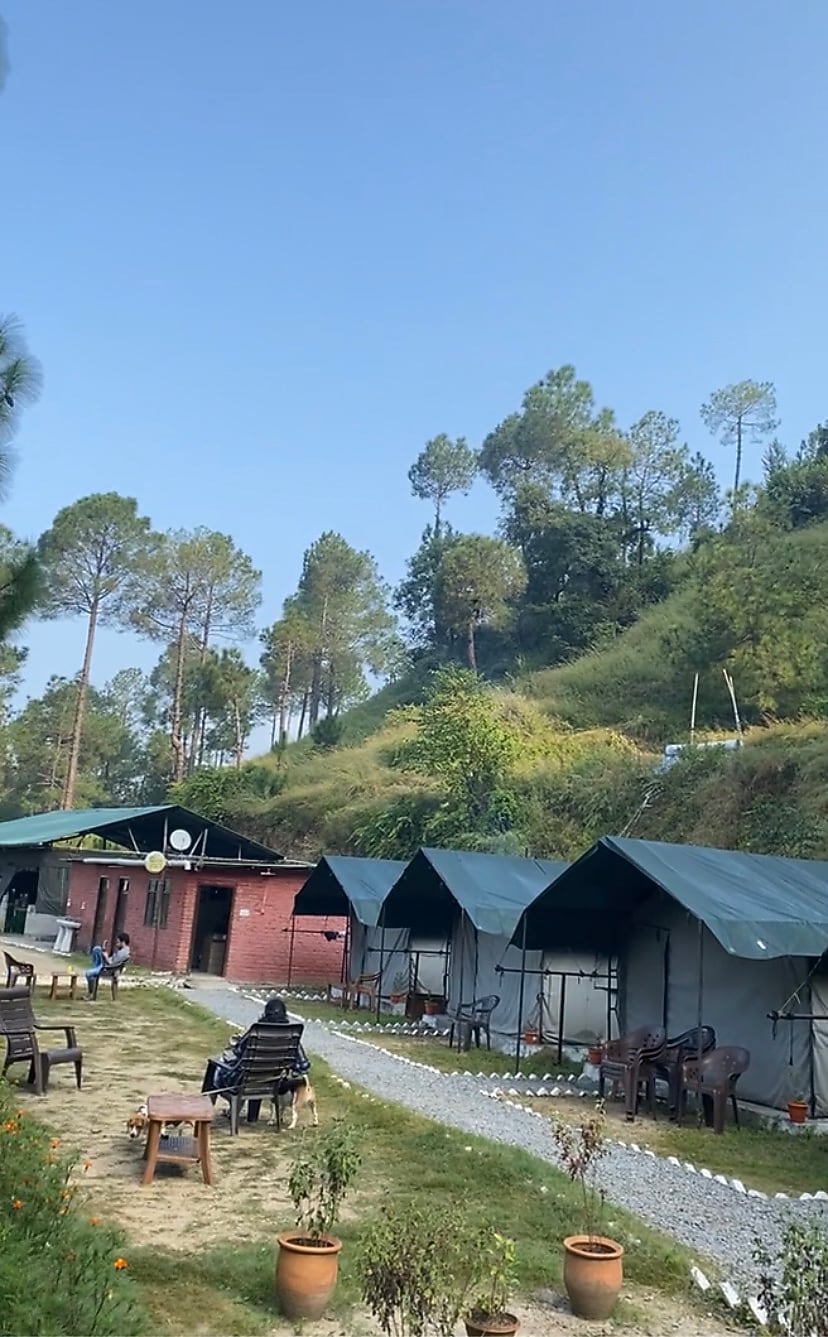 Jungle Stays Camp | Rooms & Caretaker | Chail Camp BOOK @ ₹1