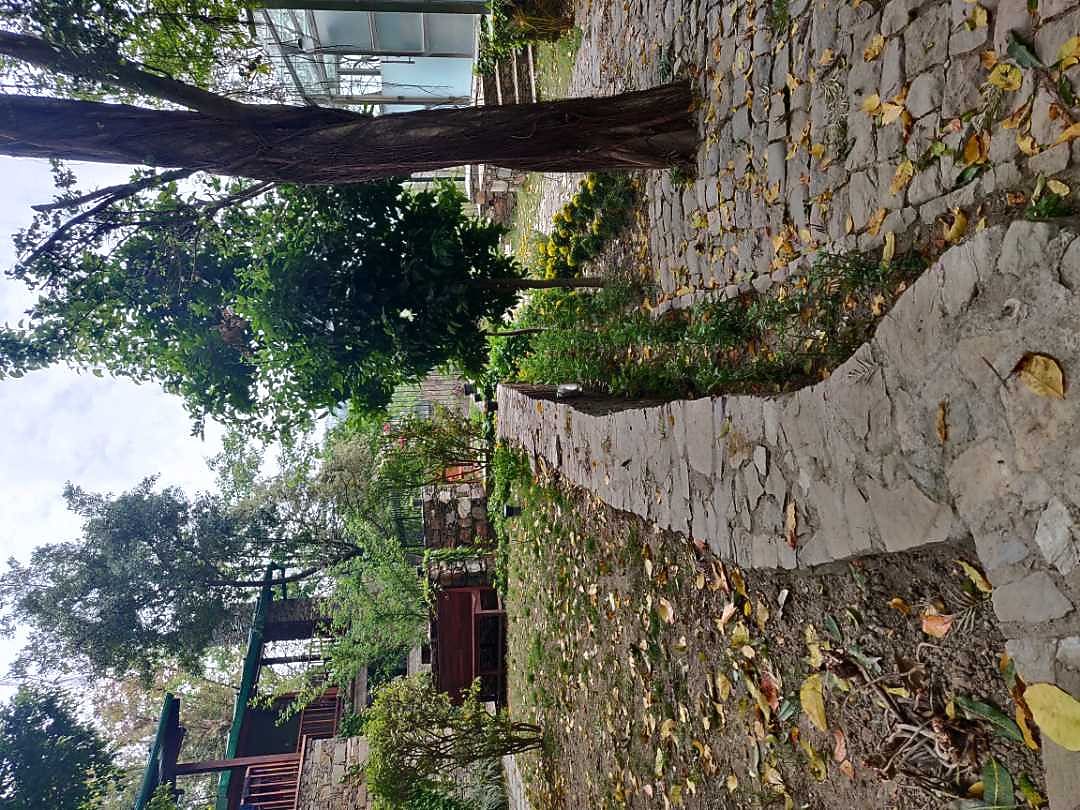 Tiaraa Monolith Lake Resort, Bhimtal 𝗕𝗢𝗢𝗞 Bhimtal Resort 𝘄𝗶𝘁𝗵 𝗙𝗥𝗘𝗘 ...