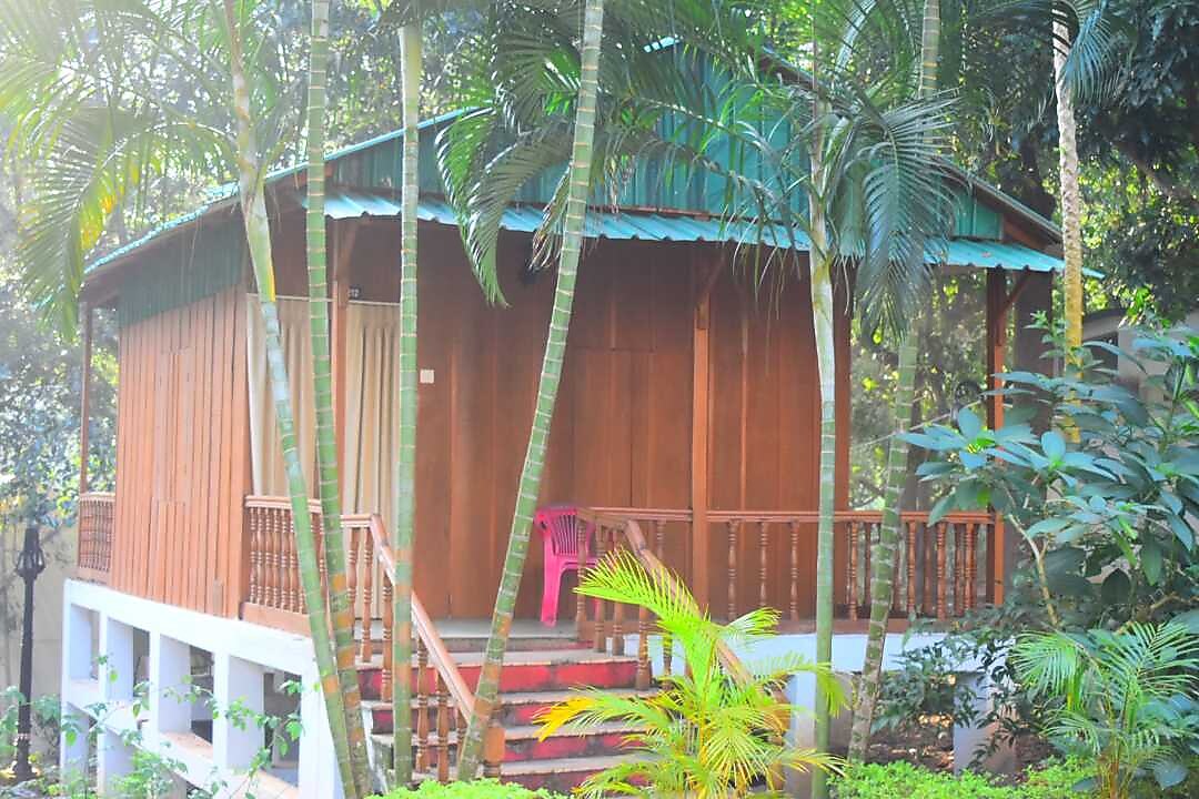 Photos of Taptapani Spring Resort - Resort in Bhanjanagar