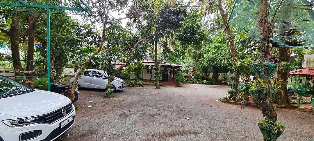 Photos of Palm Grove Service Villa | Rooms & Wi-Fi - Homestay in Cochin