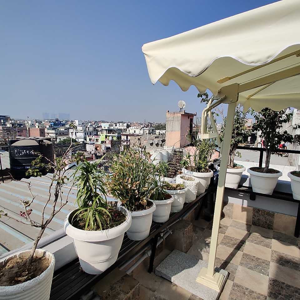 Zostel Delhi 𝗕𝗢𝗢𝗞 Delhi Hostel 𝘄𝗶𝘁𝗵 ₹𝟬 𝗣𝗔𝗬𝗠𝗘𝗡𝗧