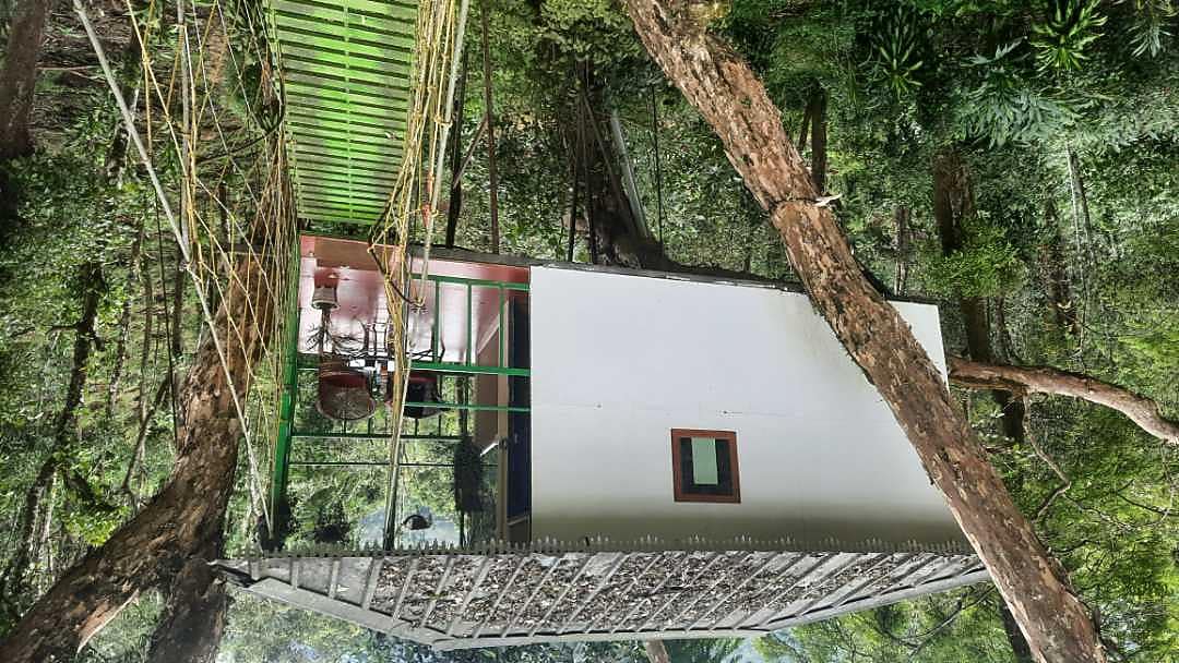 Photos of Silver Trees Tree House - Tree house in Munnar