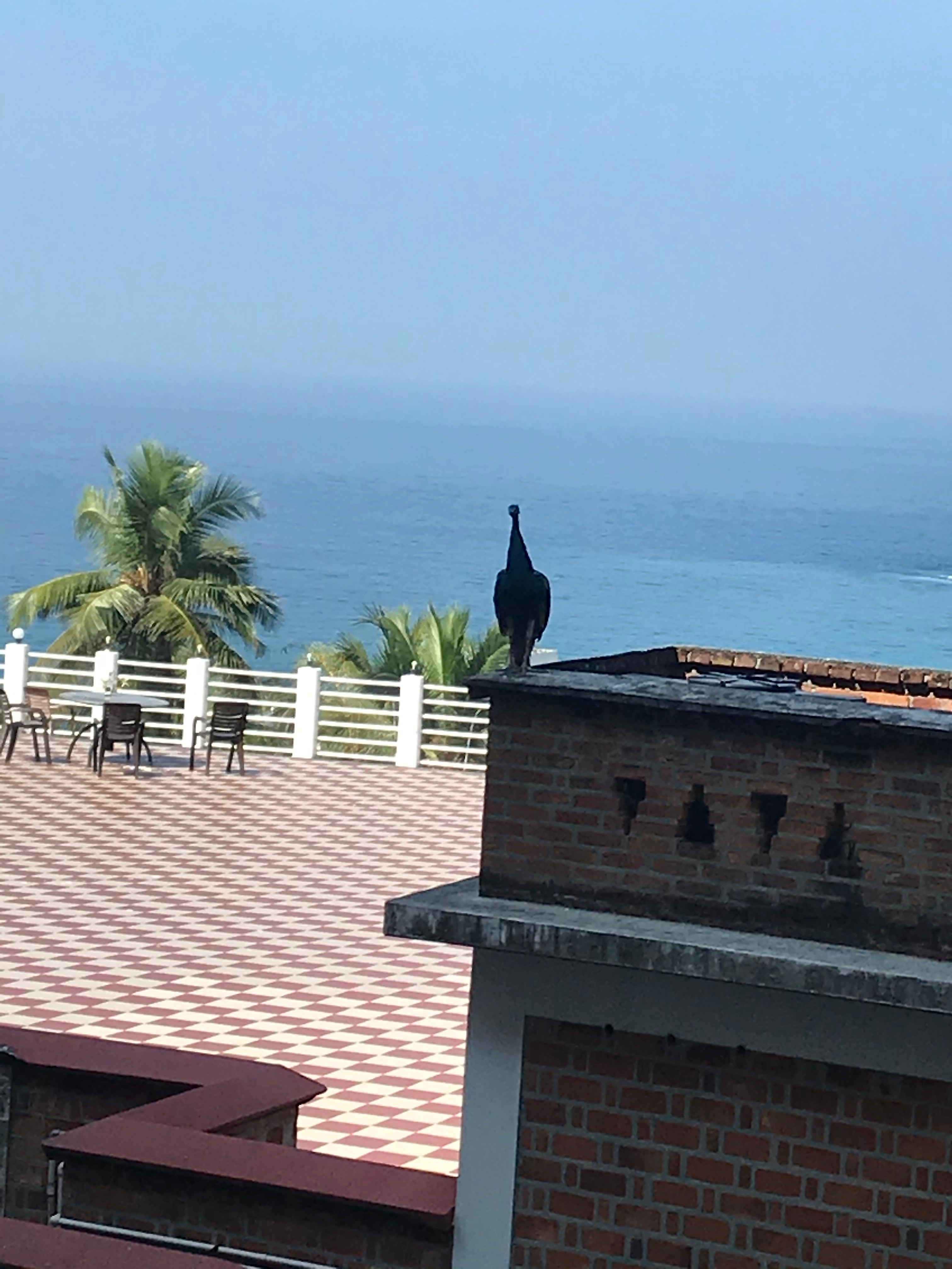 Sagara Beach Resort Kovalam and Poovar Resort Price, Address & Reviews