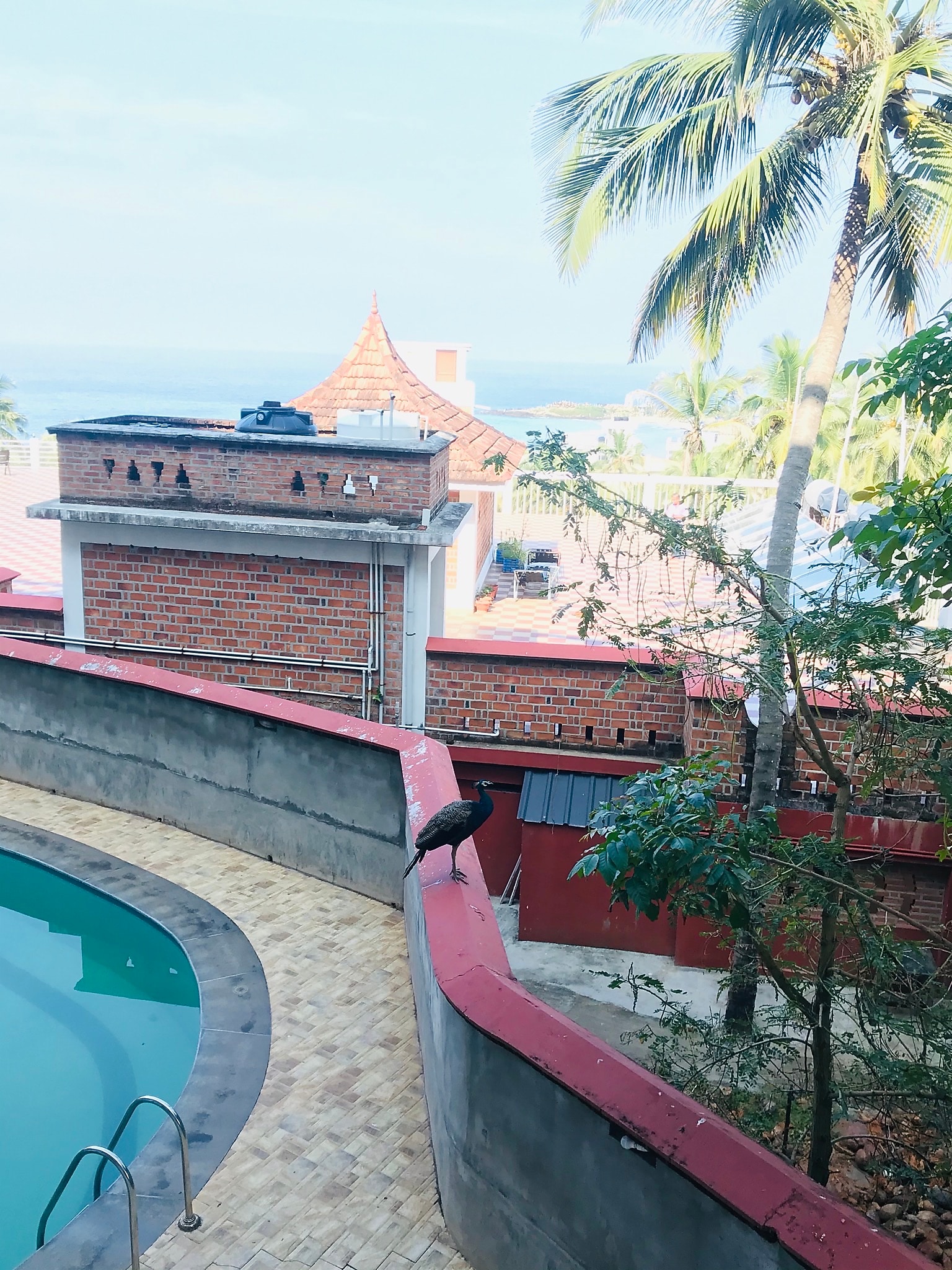 Sagara Beach Resort Kovalam and Poovar Resort Price, Address & Reviews