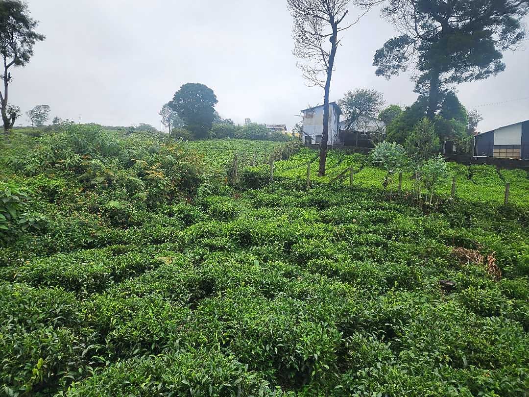 Photos of QUEEN PALACE COONOOR - Hotel in Coonoor