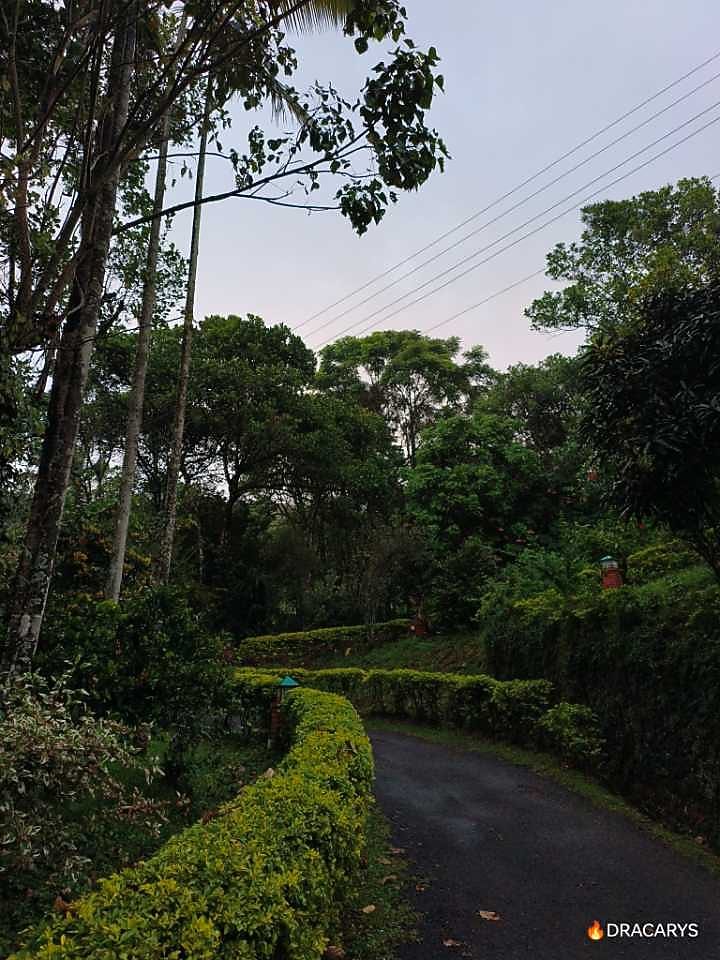 Ambady Estate | Munnar Resort BOOK @ ₹1