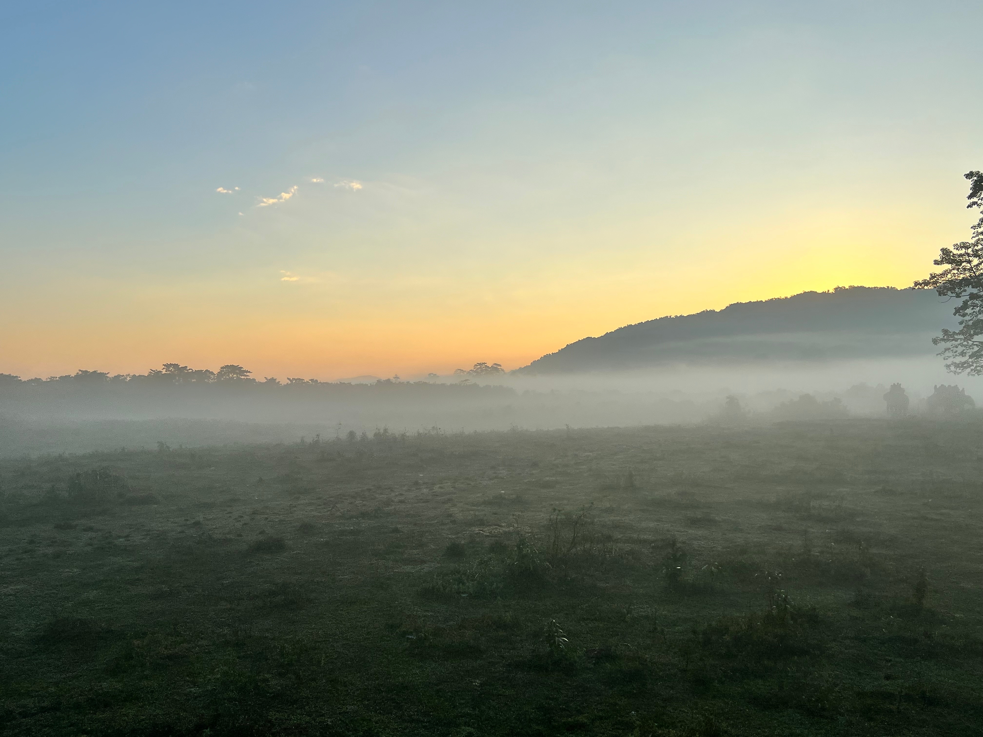 Photos of Sneha Bhawan Homestay - Homestay in Kohora