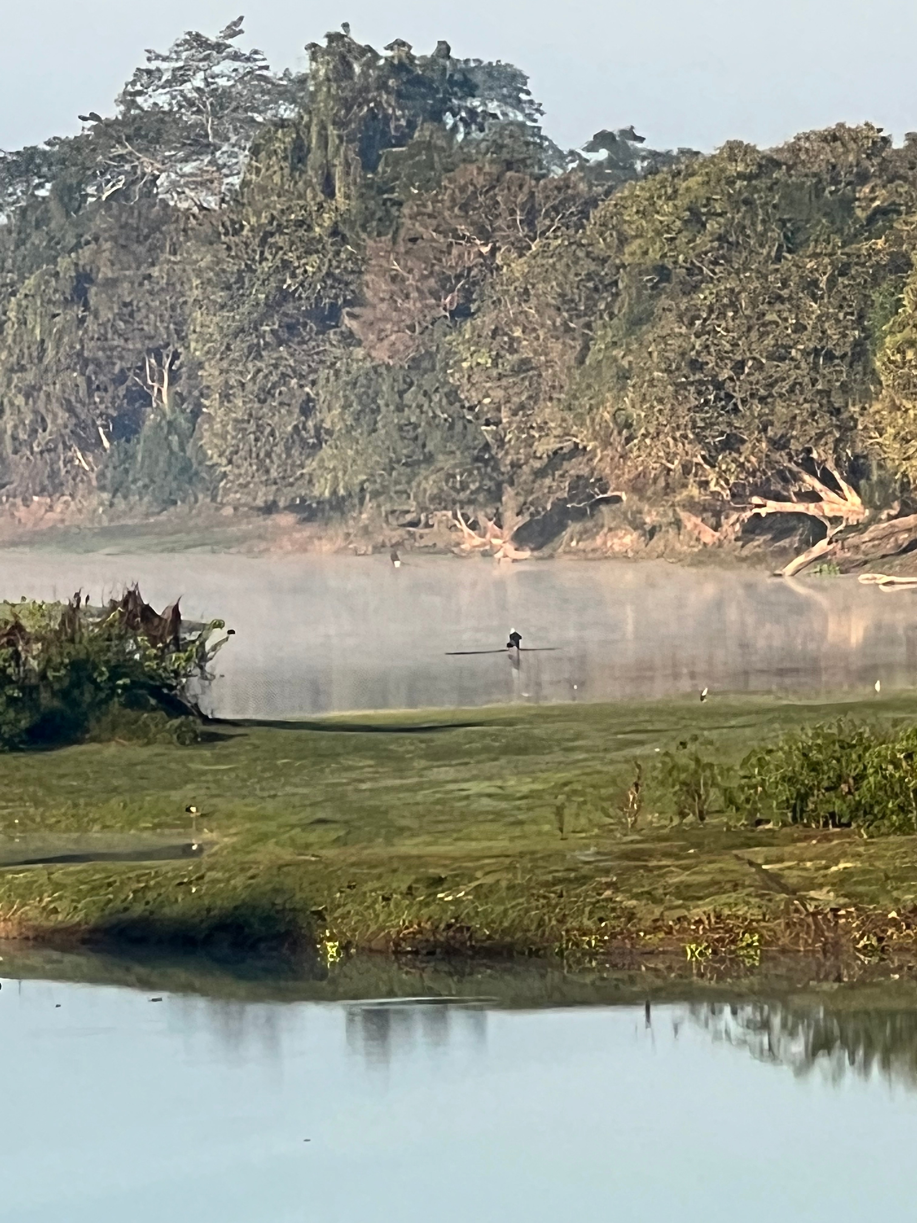 Photos of Sneha Bhawan Homestay - Homestay in Kohora