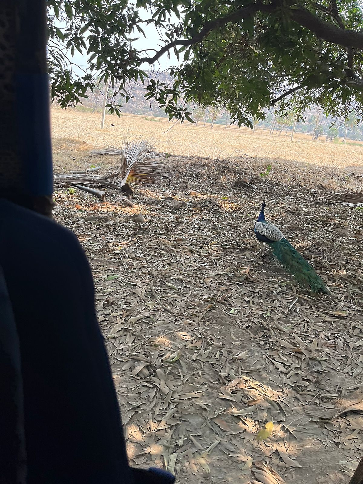 Zostel Hampi (Gangavathi) 𝗕𝗢𝗢𝗞 Gangavathi Hostel 𝘄𝗶𝘁𝗵 𝗙𝗥𝗘𝗘 𝗖𝗮𝗻𝗰𝗲𝗹𝗹𝗮𝘁𝗶𝗼𝗻