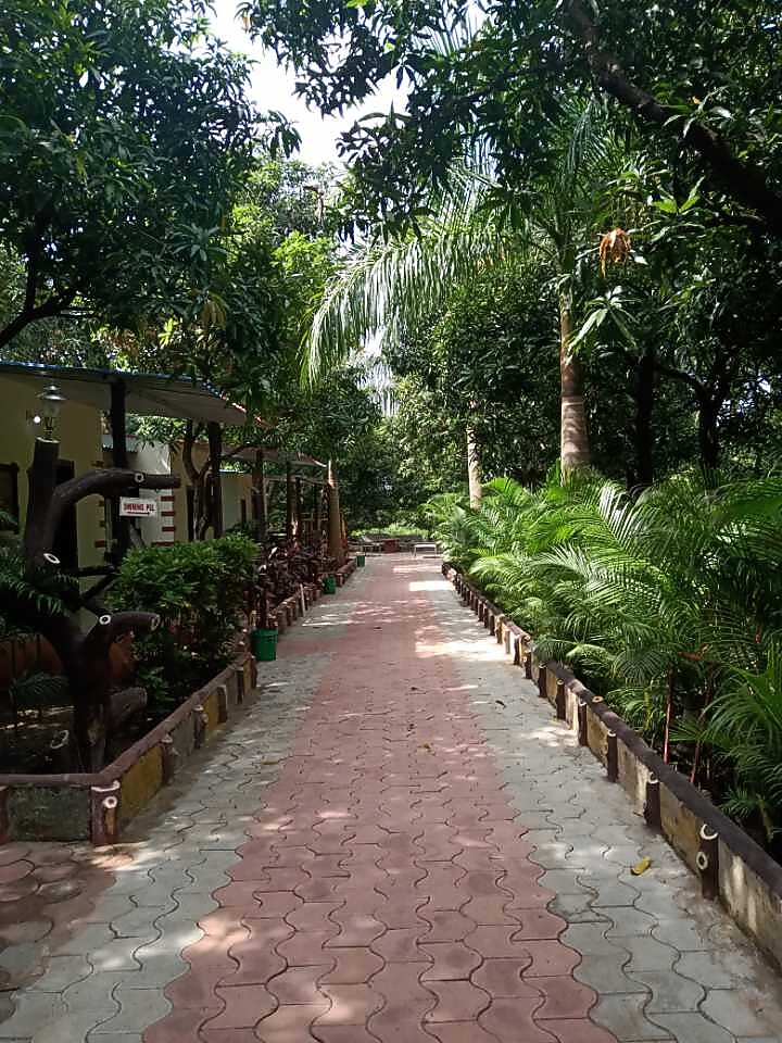 Van Vihar Resort Best Rates on Sasan Gir Hotel Deals, Reviews & Photos