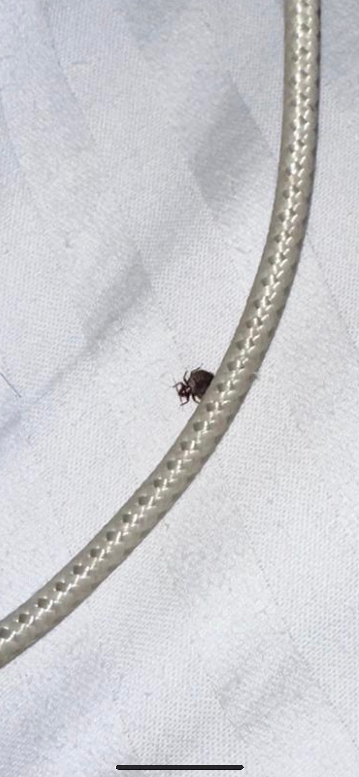 The Ocea International 𝗕𝗢𝗢𝗞 Bangalore Hotel 𝘄𝗶𝘁𝗵 ₹𝟬 𝗣𝗔𝗬𝗠𝗘𝗡𝗧