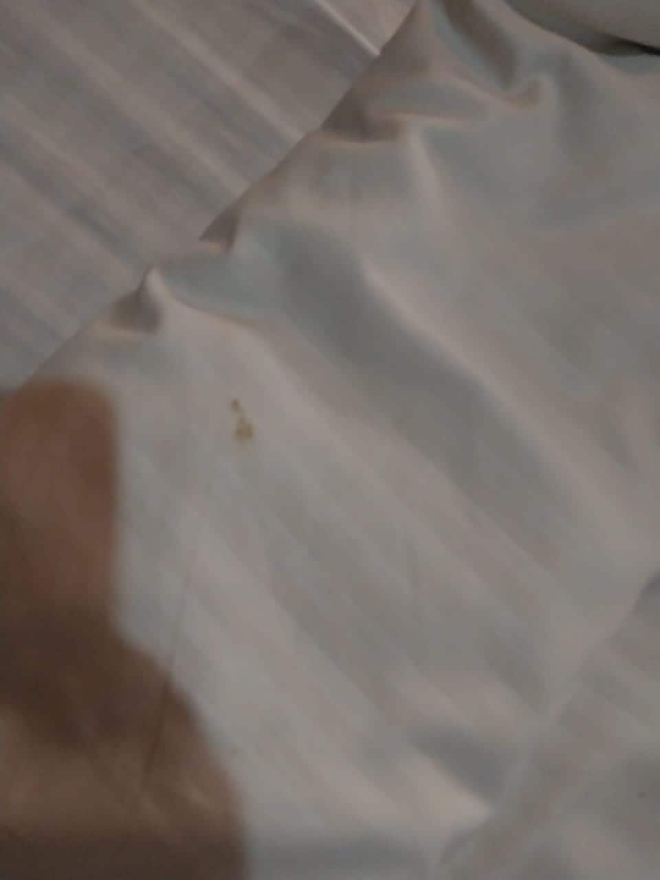 Gourish Resort, Mahabaleshwar 𝗕𝗢𝗢𝗞 Mahabaleshwar Resort 𝘄𝗶𝘁𝗵 ₹𝟬 𝗣𝗔𝗬𝗠𝗘𝗡𝗧