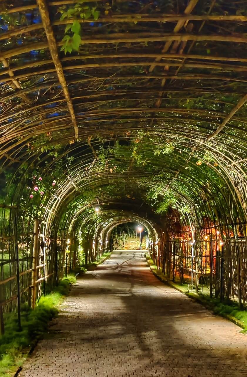 Photos of Bougainvillea Retreat & Spa - Resort in Guwahati