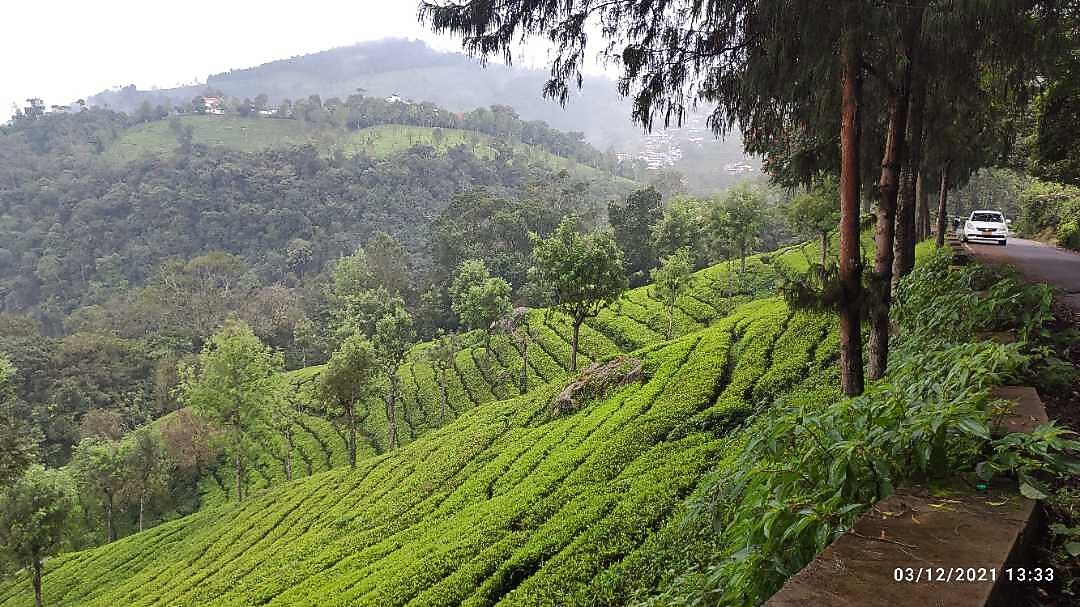 Lakshmi Cottage 𝗕𝗢𝗢𝗞 Ooty Cottage 𝘄𝗶𝘁𝗵 𝗙𝗥𝗘𝗘 𝗖𝗮𝗻𝗰𝗲𝗹𝗹𝗮𝘁𝗶𝗼𝗻