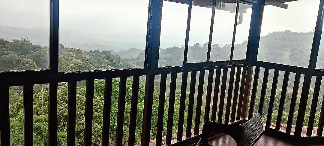Coorg Treehouse | Mountain-view Rooms 𝗕𝗢𝗢𝗞 Coorg Tree house 𝘄𝗶𝘁𝗵 ₹𝟬 𝗣𝗔𝗬𝗠𝗘𝗡𝗧