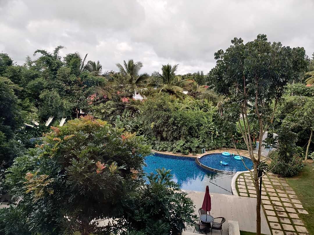 Purple Palms Resort & Spa 𝗕𝗢𝗢𝗞 Coorg Resort 𝘄𝗶𝘁𝗵 ₹𝟬 𝗣𝗔𝗬𝗠𝗘𝗡𝗧