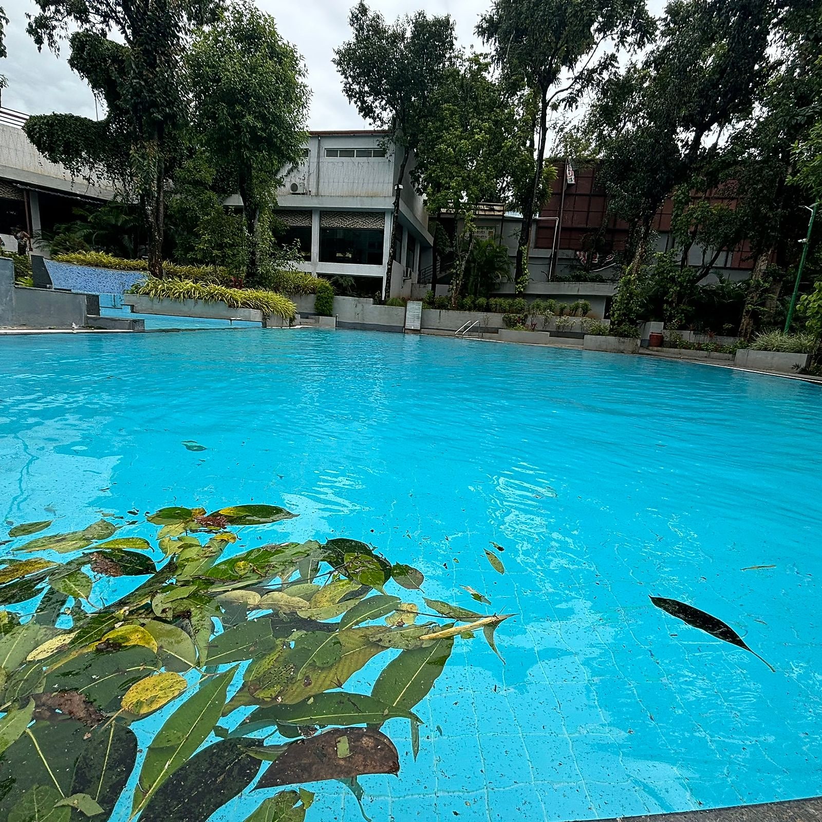 Siri Nature Roost 𝗕𝗢𝗢𝗞 Chikmagalur Resort 𝘄𝗶𝘁𝗵 𝗙𝗥𝗘𝗘 𝗖𝗮𝗻𝗰𝗲𝗹𝗹𝗮𝘁𝗶𝗼𝗻