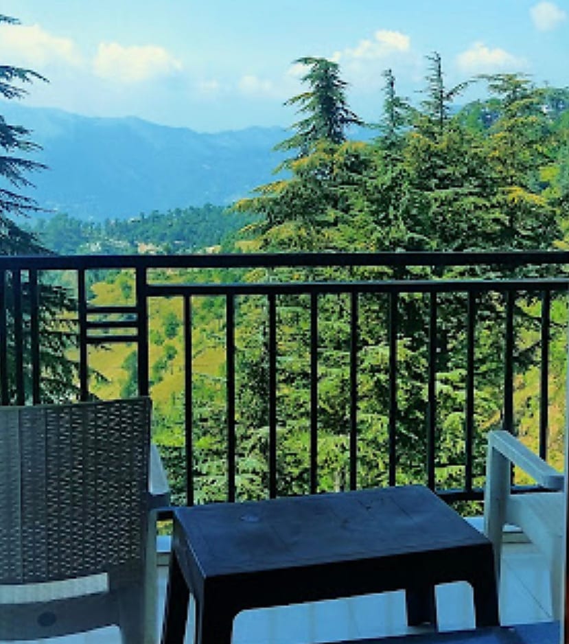 MOUNTAIN VIEW RESORT , CHAIL | Chail Resort BOOK @ ₹1
